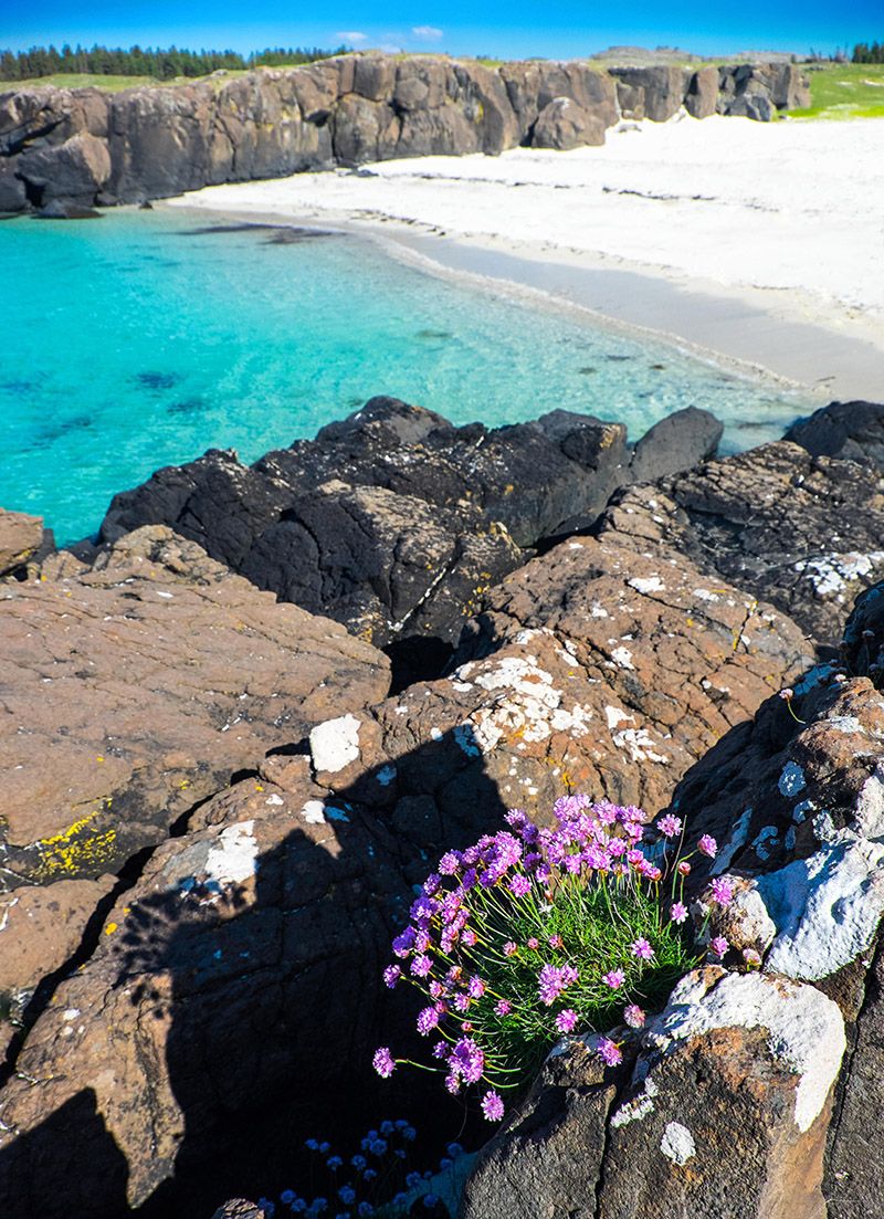 10 of Scotland’s most magical white sand beaches | Country Life