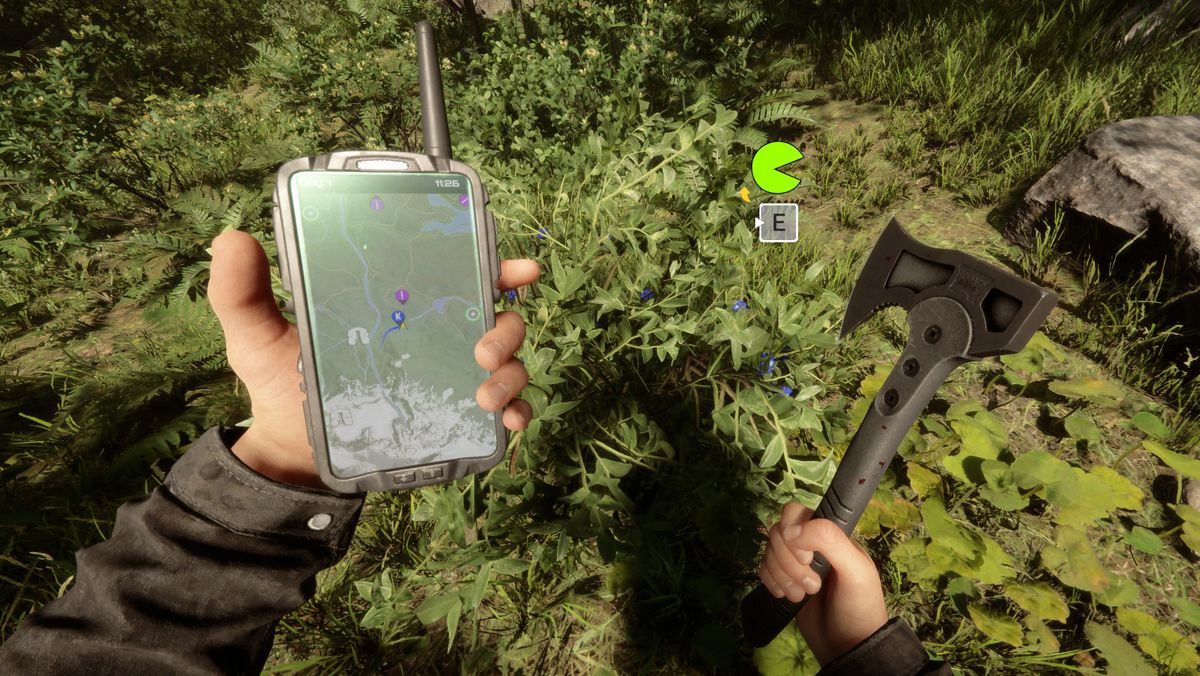 Sons Of The Forest Tips How To Survive Your First Day Pc Gamer