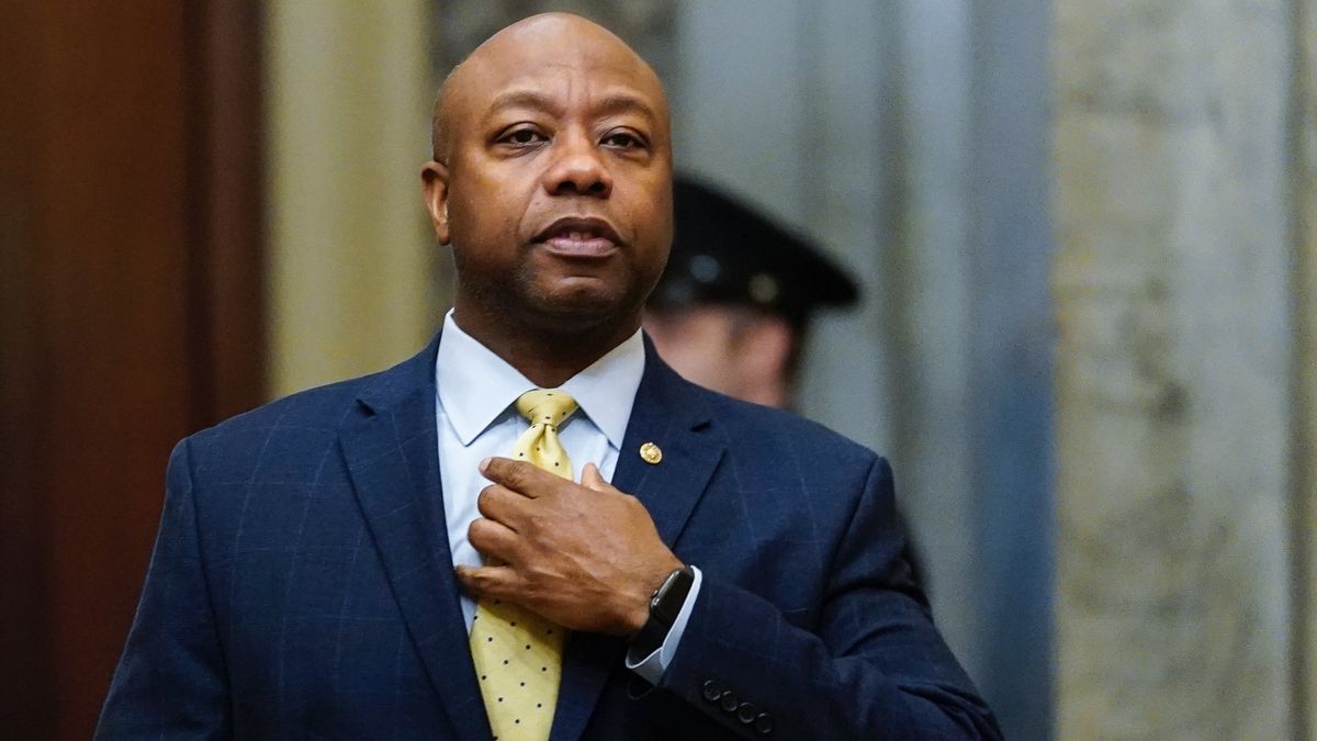 Who is Tim Scott? | The Week