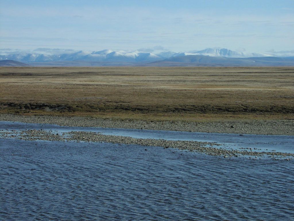 Humans Crossed the Bering Land Bridge to People the Americas. Here’s ...