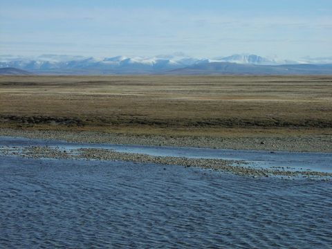 Humans Crossed the Bering Land Bridge to People the Americas. Here’s ...