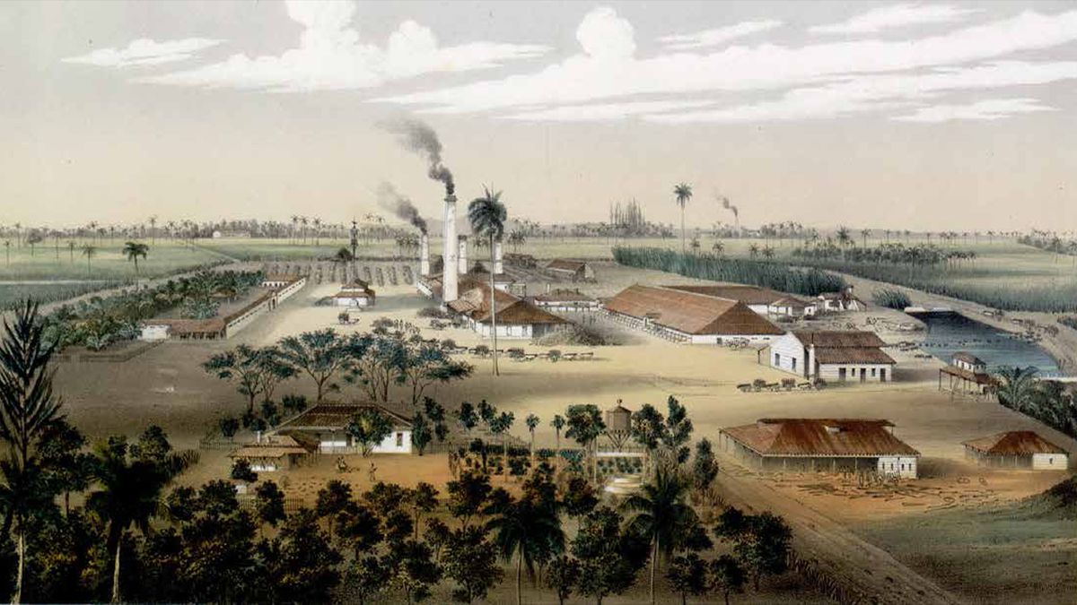 14 wrecks that expose 'what life was like on slaver ships' identified ...