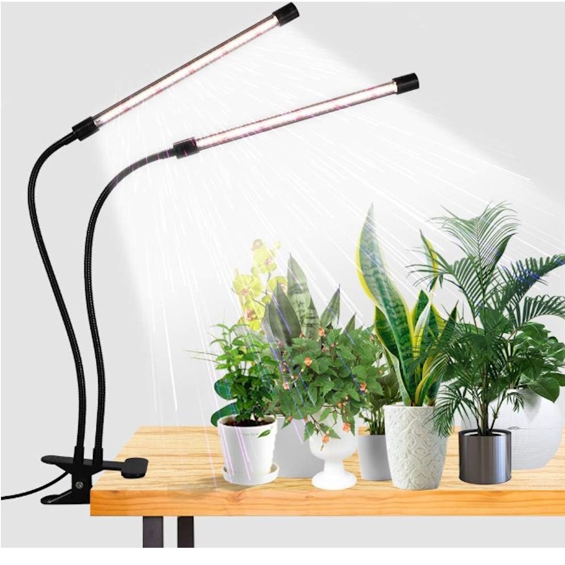 The importance of grow lights for houseplants in winter | Homes and Gardens