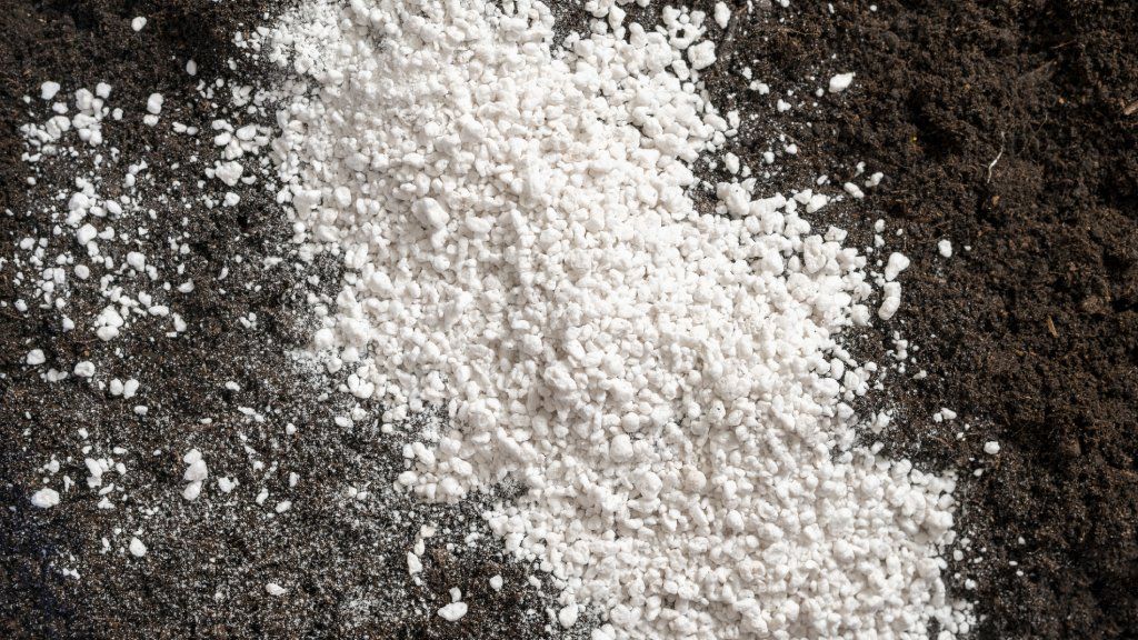What Is Perlite? A Gardener’s Guide To Perlite | Gardening Know How