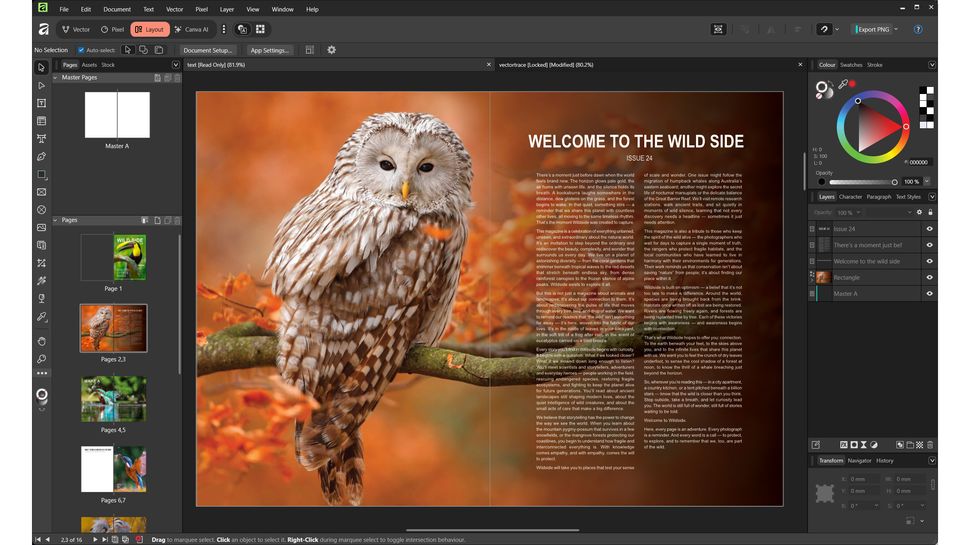 The best InDesign alternatives | Creative Bloq