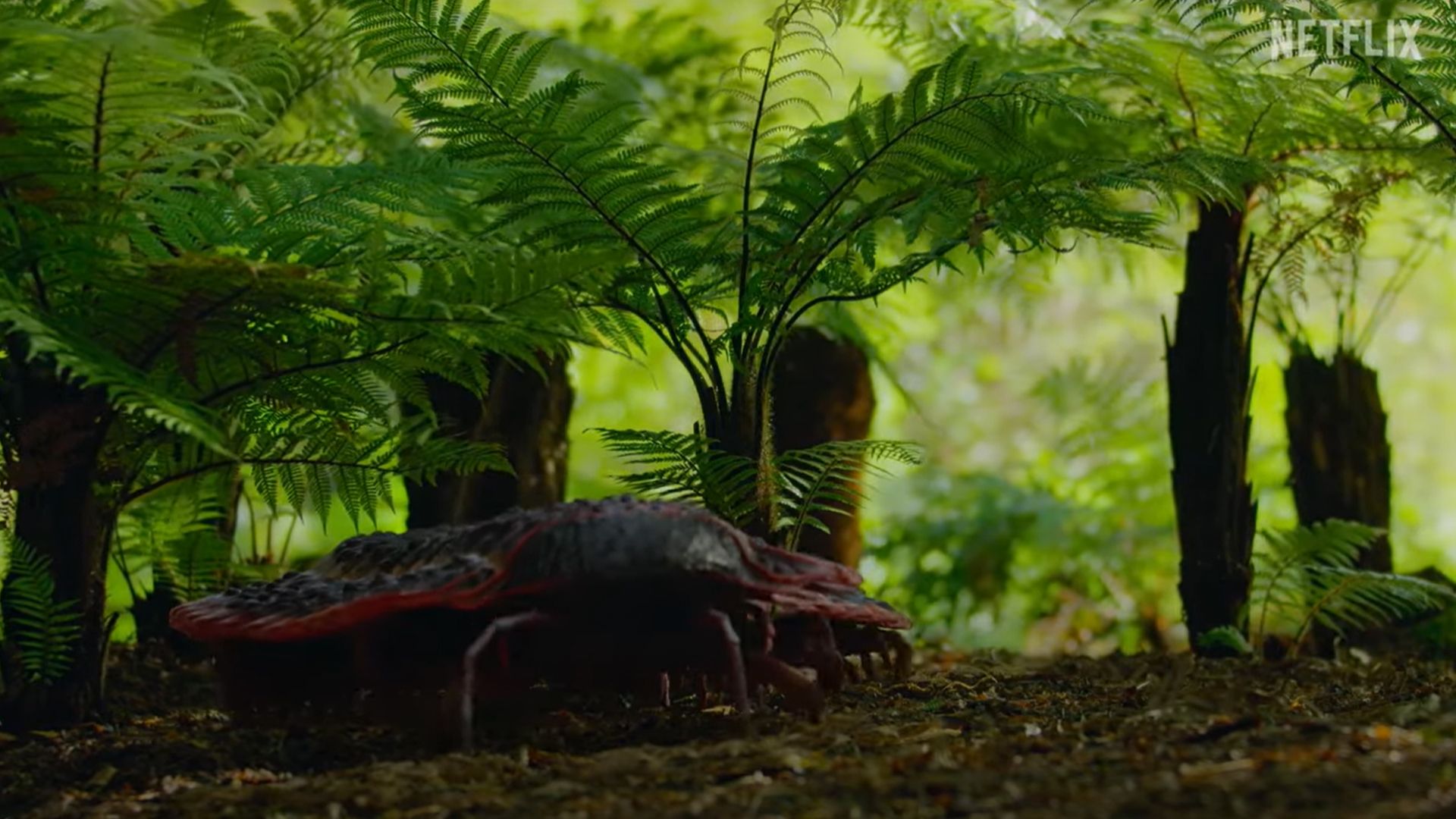 Watch ancient, giant millipede the size of a car brought back to life ...