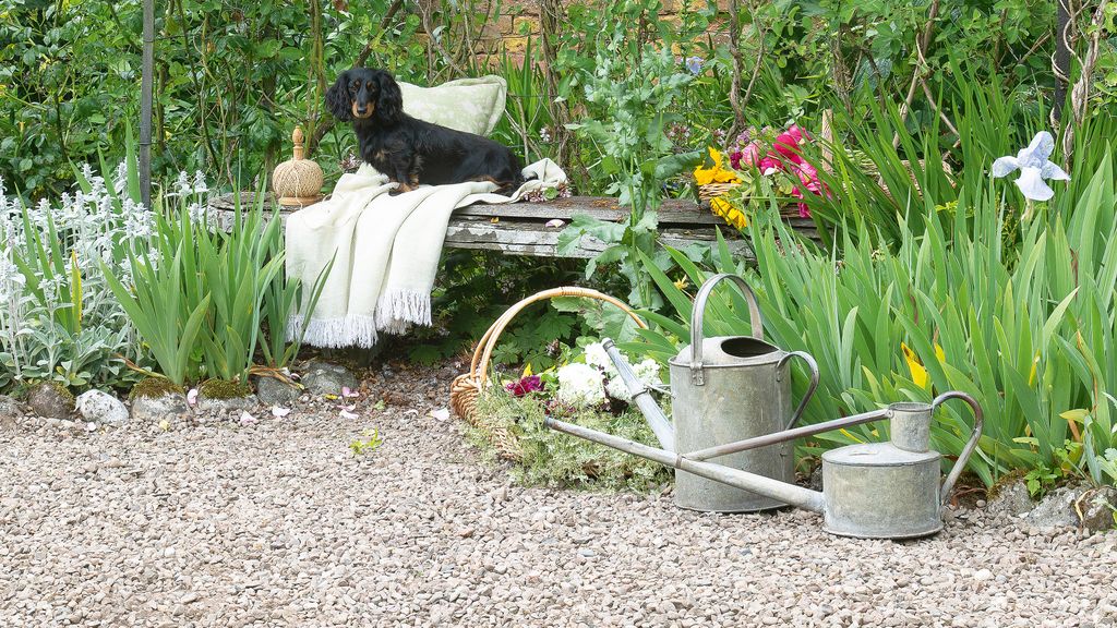 10 Gravel garden ideas for an easy, low-maintenance style | Ideal Home