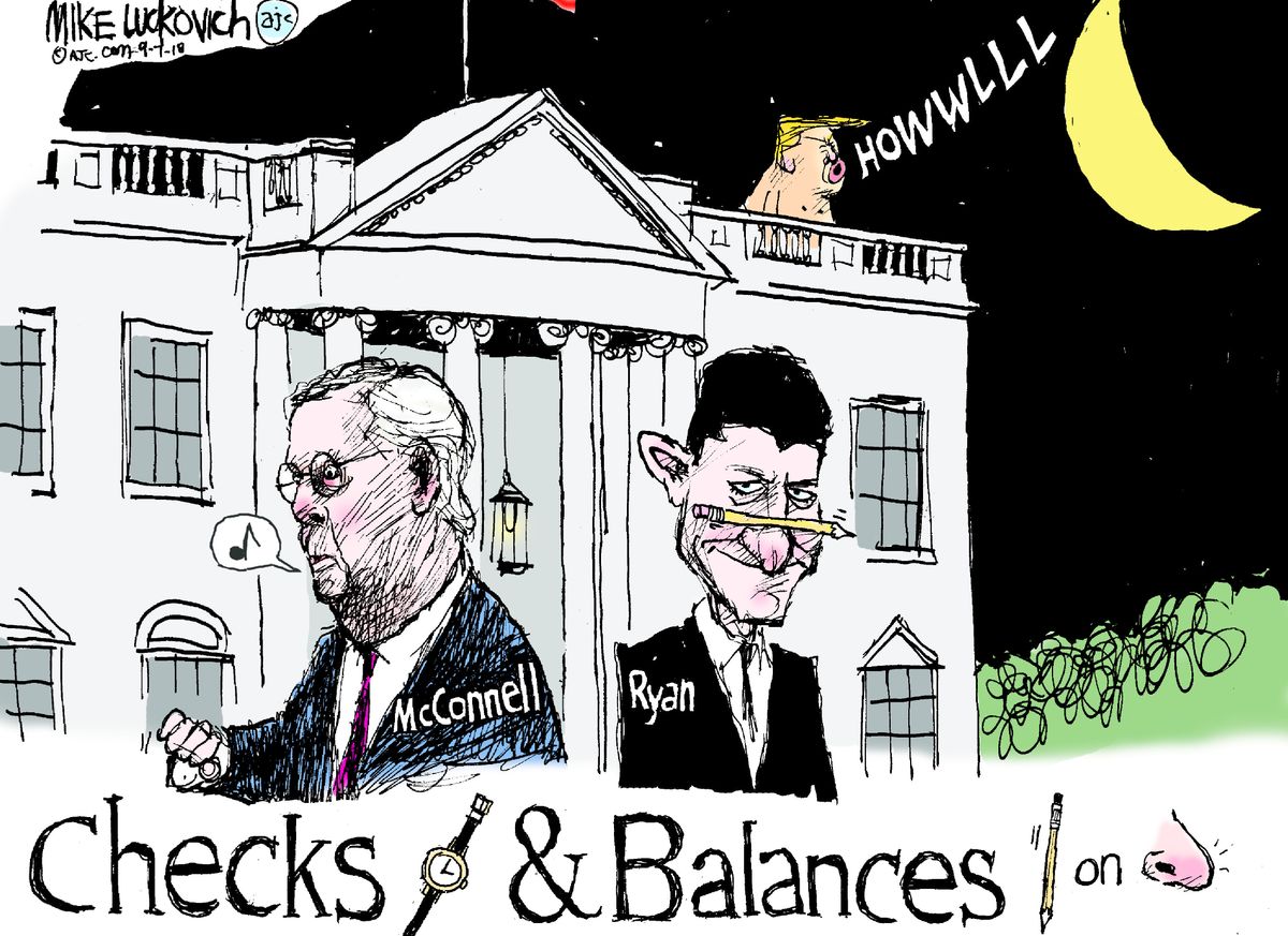 Checks And Balances Political Cartoon Scale What Democrats Can Learn
