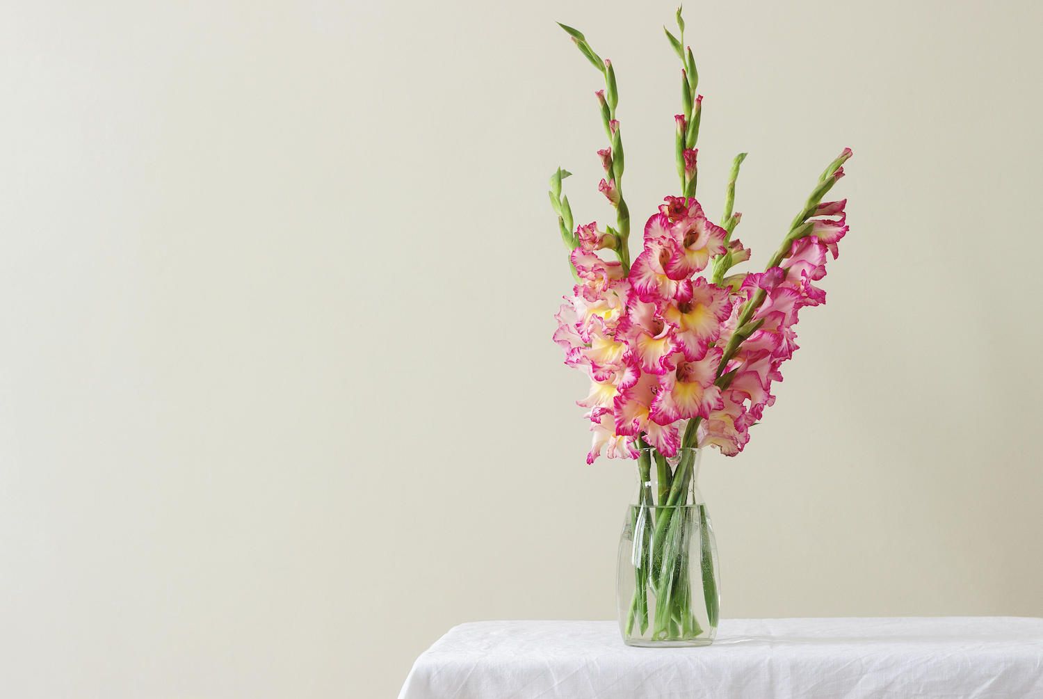What flowers are best for a tall vase? 5 stems for displays | Livingetc