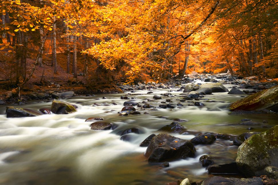10 tips for capturing colorful autumn photos | TechRadar