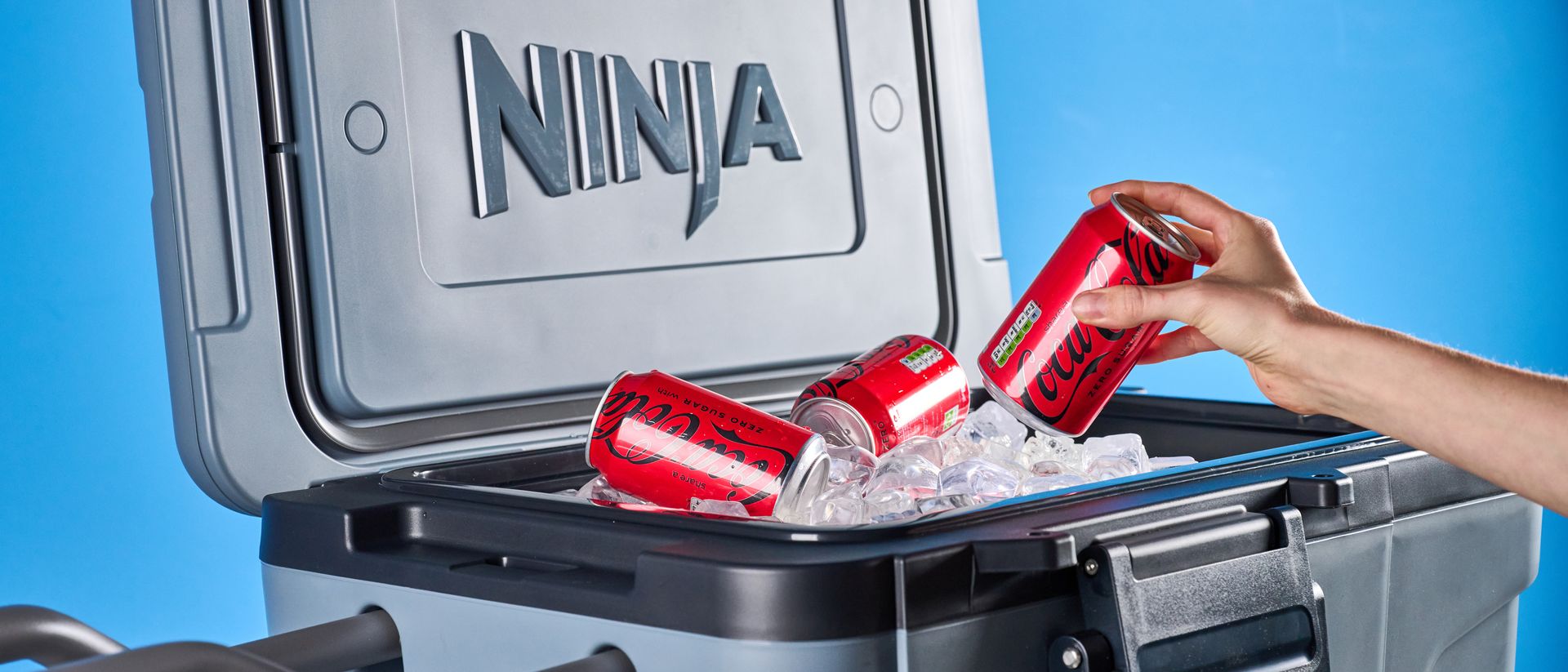 I’ll be putting my Ninja cooler to the test this world picnic day ...