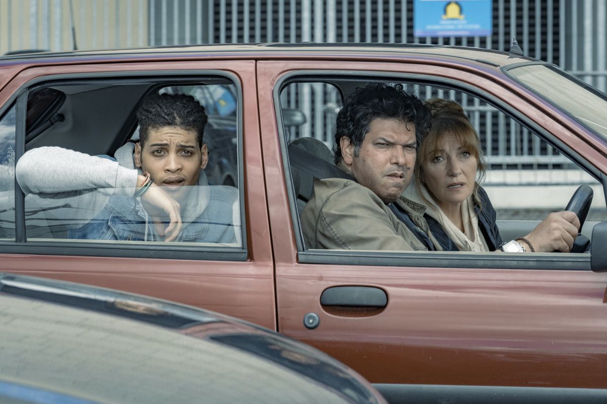 Harry Wild Investigates: release date, cast, trailer, plot | What to Watch