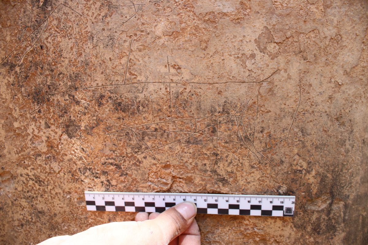 Photos: Biblical-Era Cistern and Carvings Discovered in Israel | Live ...