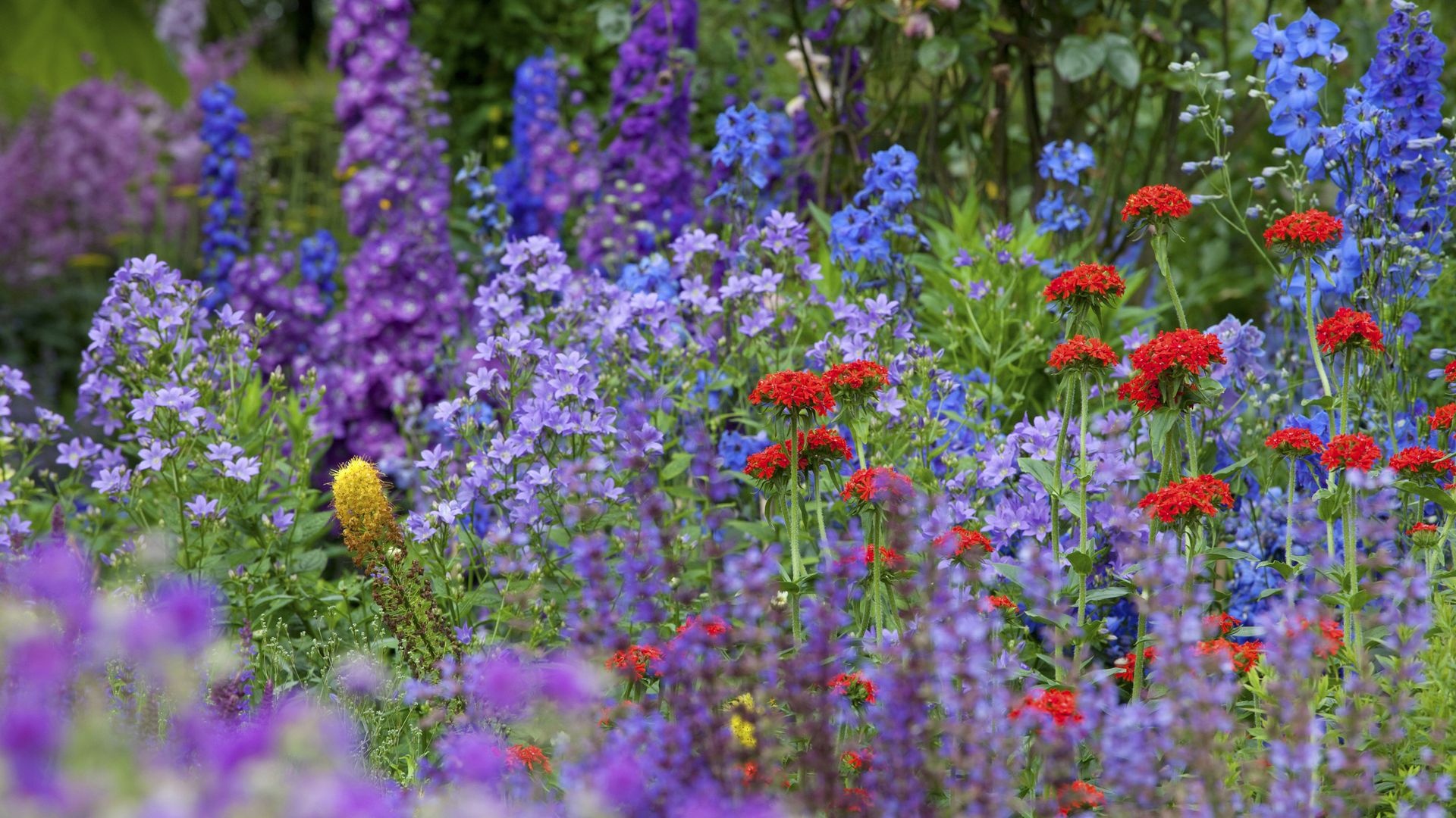 How to choose a colour scheme for your garden | Real Homes