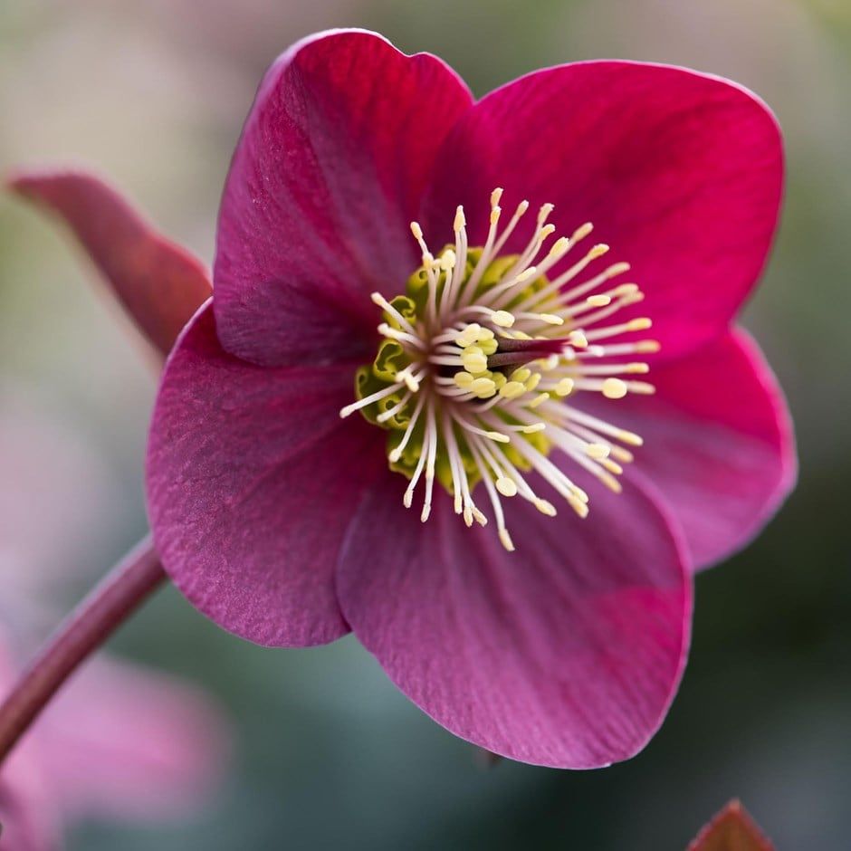 The 6 types of garden shade, from full sun to deep shade | Ideal Home