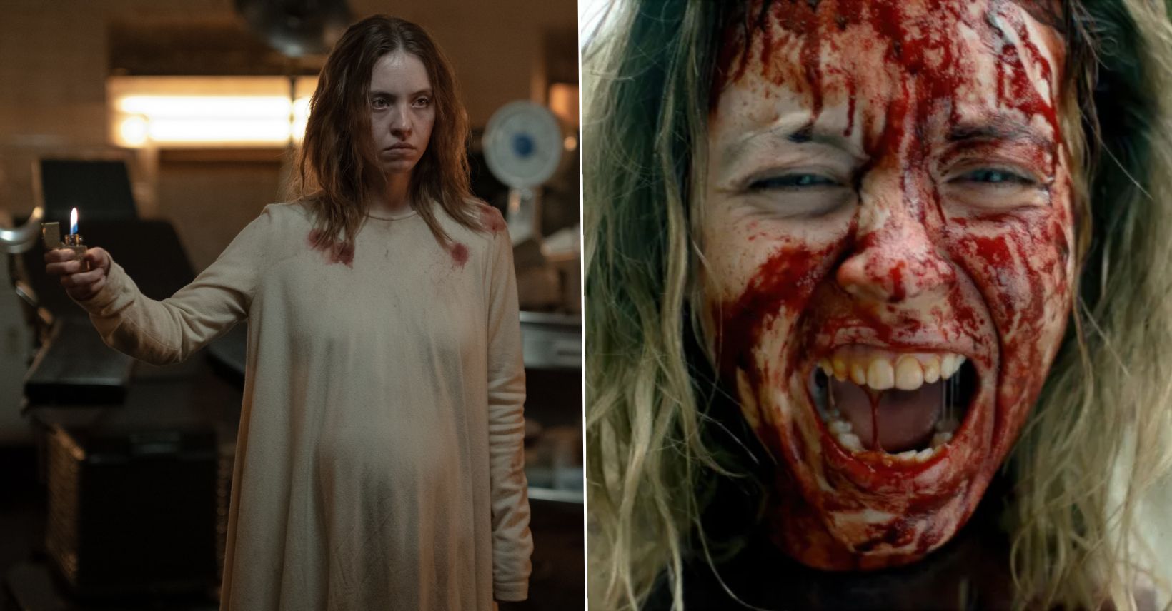 Sydney Sweeney reveals that the shocking Immaculate ending was done in ...
