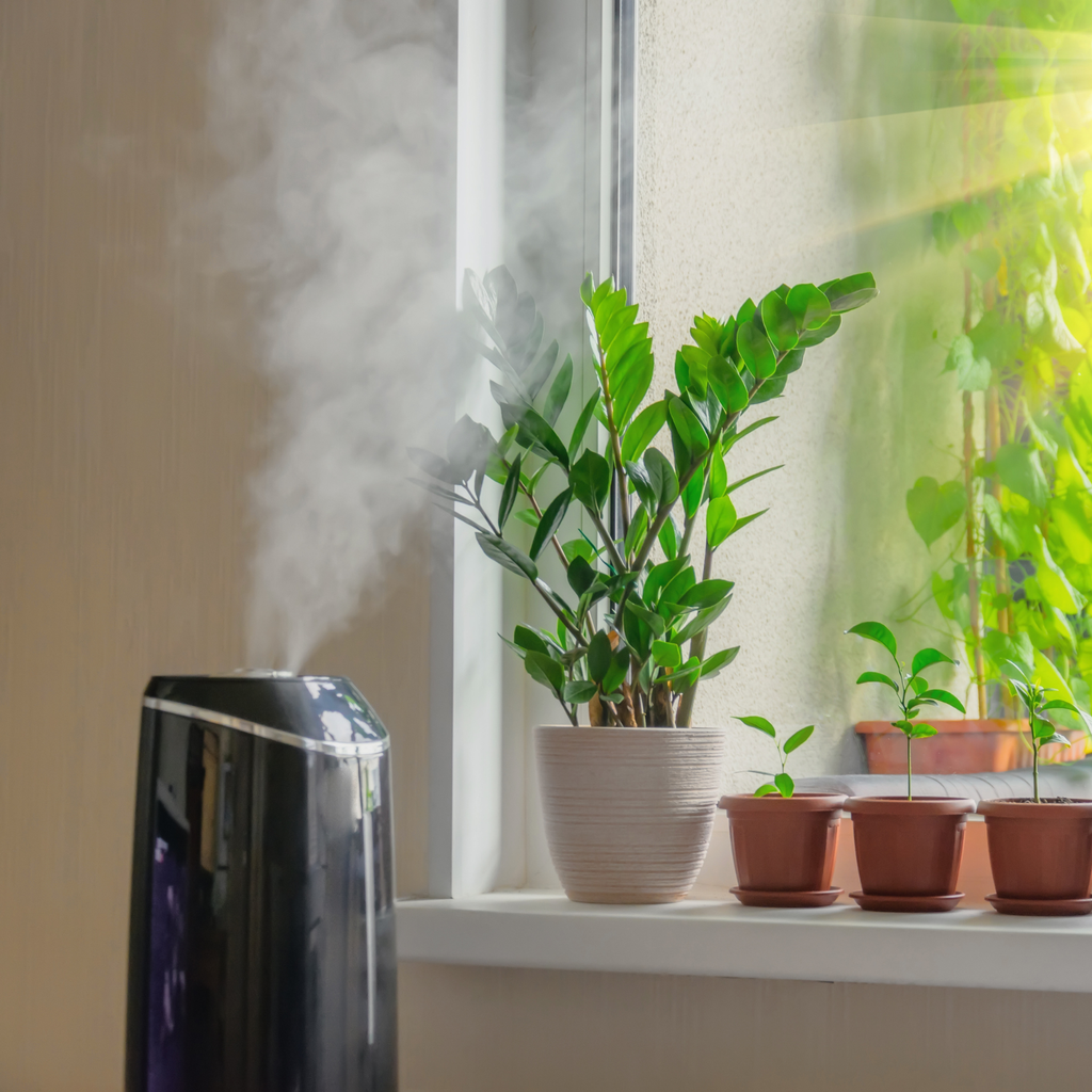 What does a humidifier do? And how to work out if you need one | Ideal Home