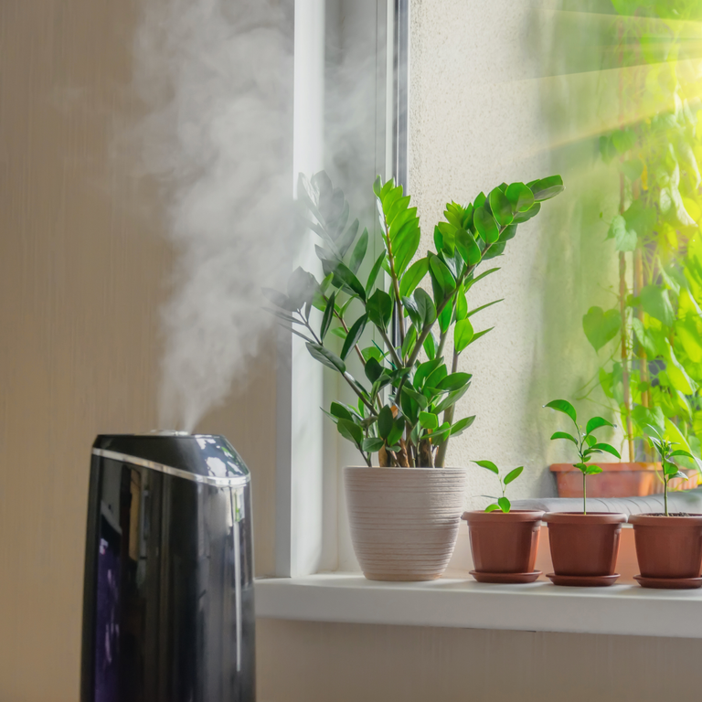 What does a humidifier do? And how to work out if you need one | Ideal Home