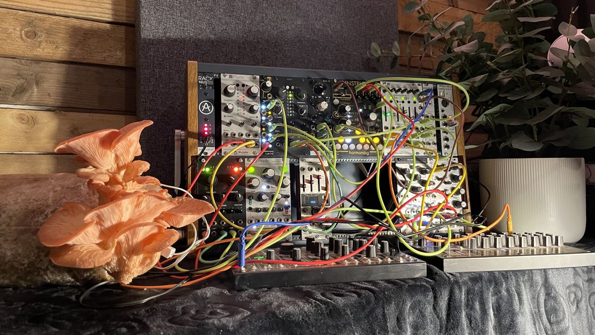 "I've turned to the natural world for inspiration": Meet the producer ...