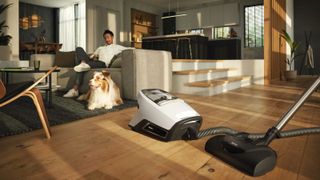 California small engine ban: all you need to know to mow | Homes and ...