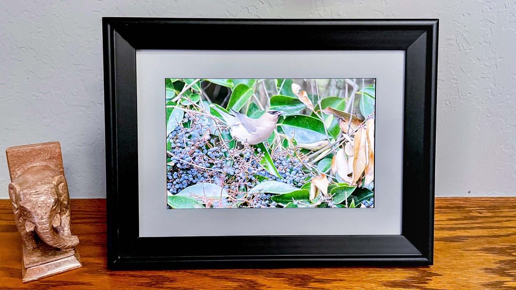 The best digital photo frames in 2025 | Tom's Guide