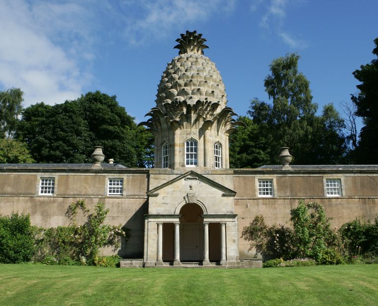 How pineapple mania gripped Britain | Country Life