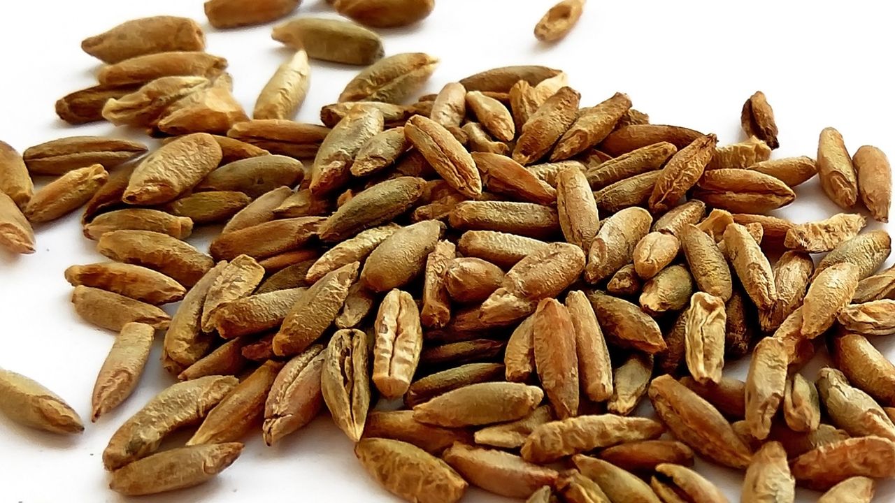 Ancient grains to add to your diet for a nutritional boost | Woman & Home