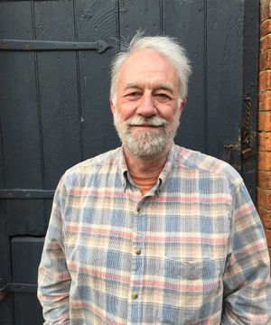 Pieris care and growing guide: expert tips on andromeda bush