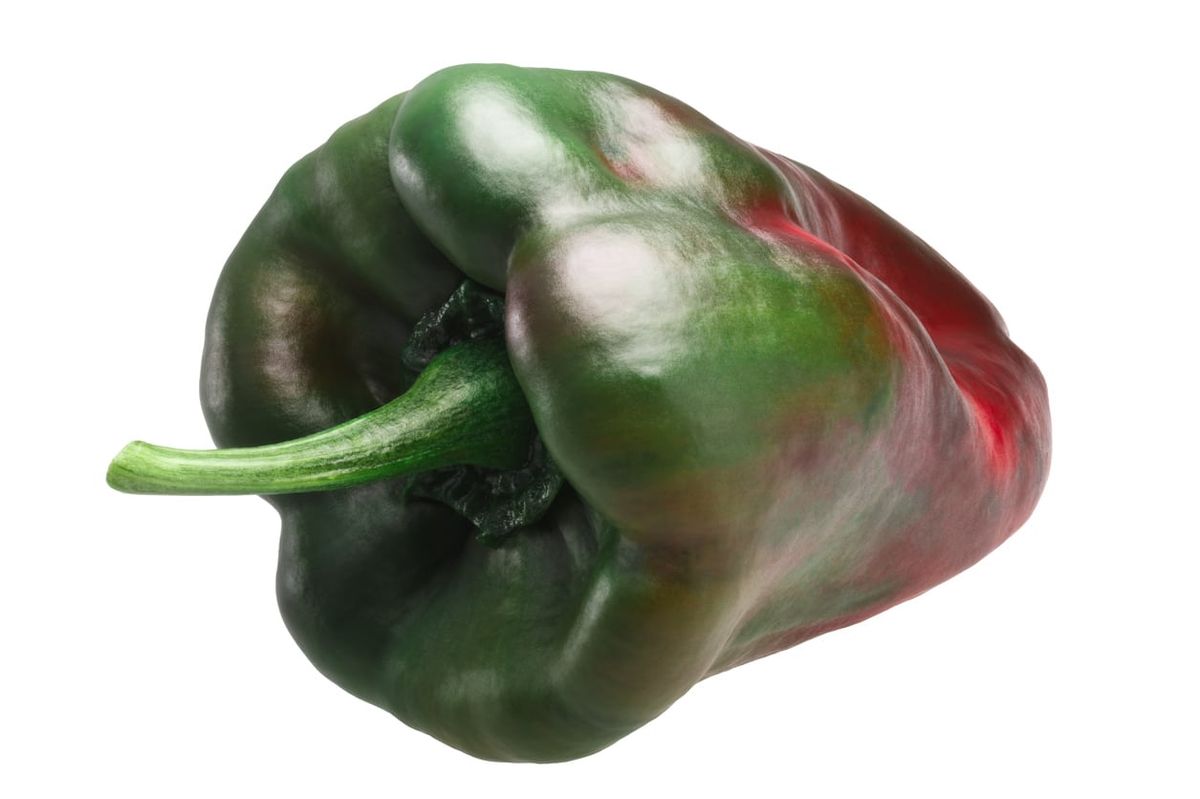 Dolmalik Chili Pepper Info - Growing Dolmalik Biber Pepper Plants ...
