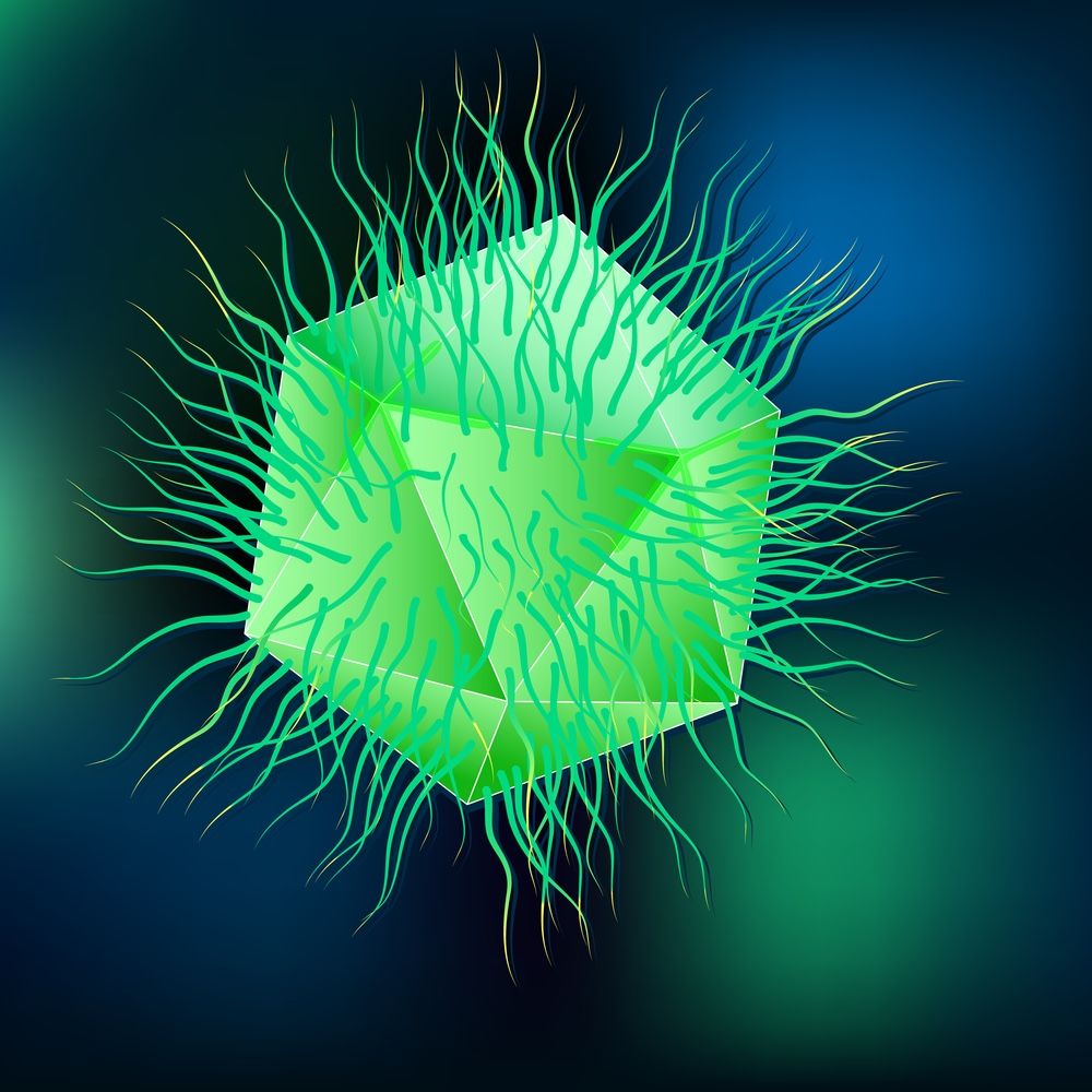 The Frankenstein of Giant Viruses Found in Sewage Plant | Live Science