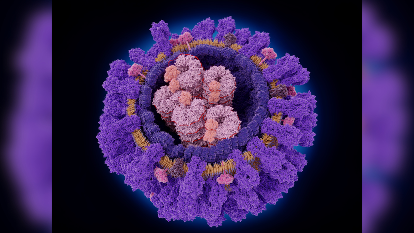Virus News - Viral Diseases in Humans, Animals | Live Science