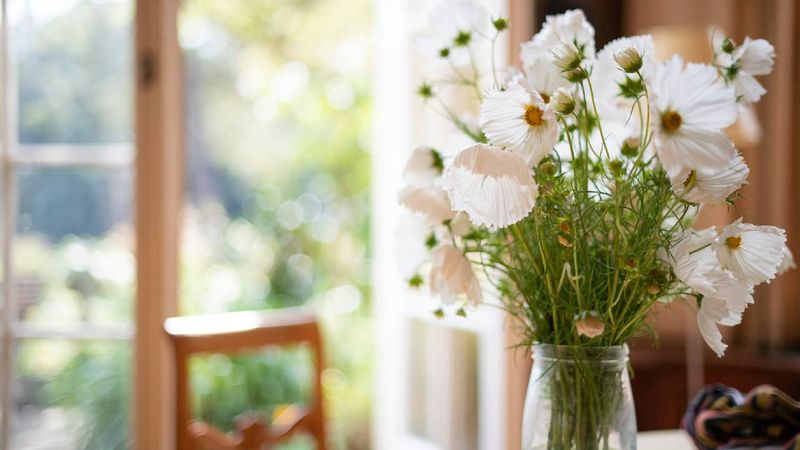 Wilko Discount Codes | 50% OFF | May 2026 | MyVoucherCodes