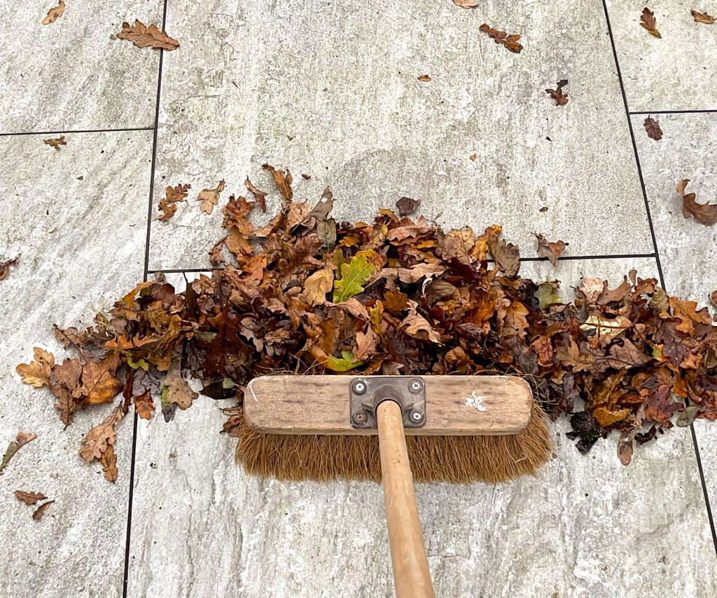 7 tips on how to remove algae from patio slabs | Homebuilding