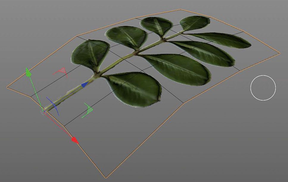 Make realistic plants in Cinema 4D | Creative Bloq