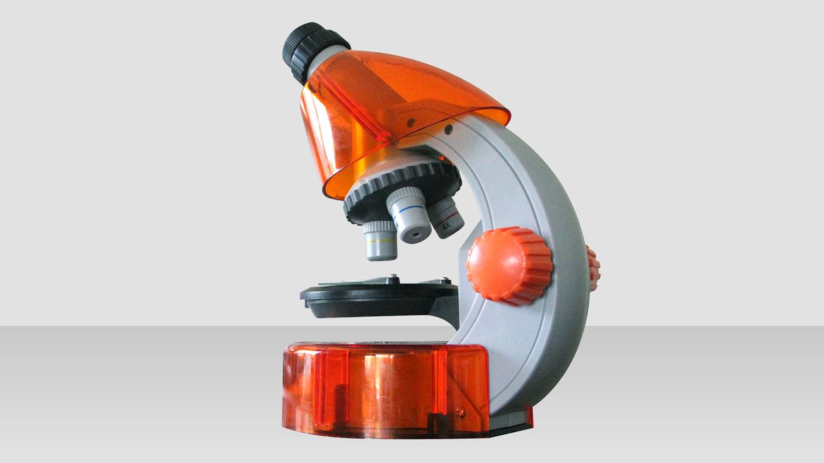 The best microscopes in 2025 | Digital Camera World