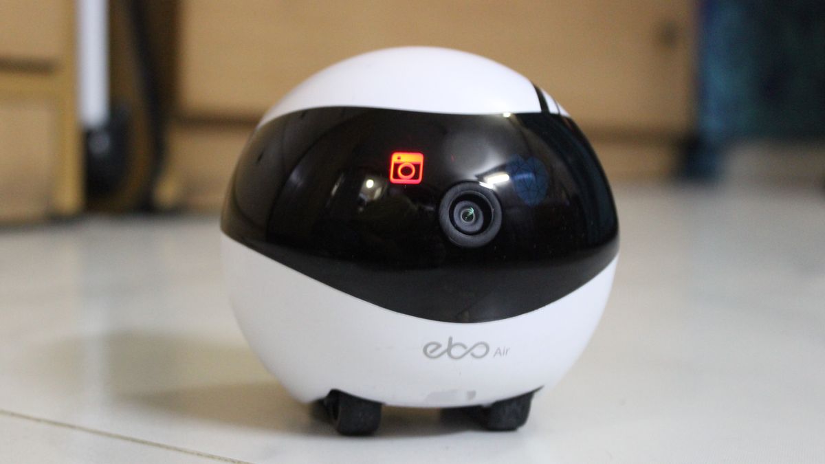 Enabot EBO Air review: The perfect pet companion robot for your furry ...