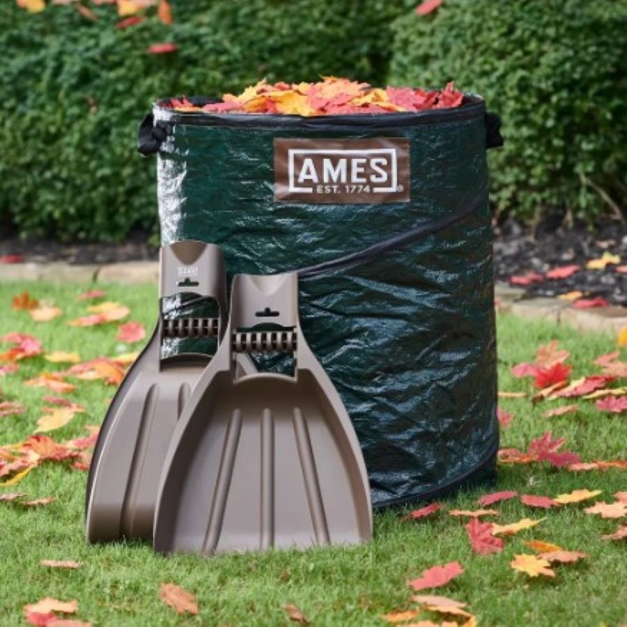 5 things to do to your lawn in November | Livingetc