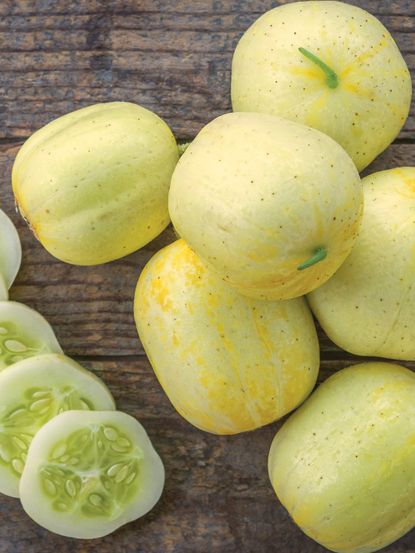 How to grow lemon cucumbers in your vegetable garden | Homes and Gardens