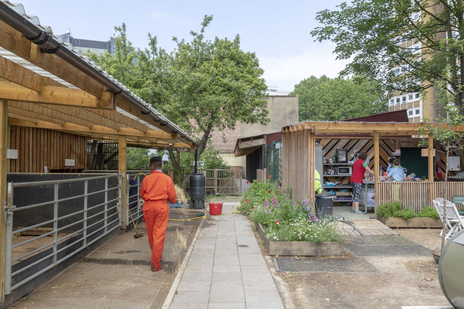 Education barn opens at Waterloo City Farm by Feilden Fowles | Wallpaper*