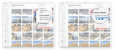 How to like, comment, and add subscribers to shared photo albums on ...