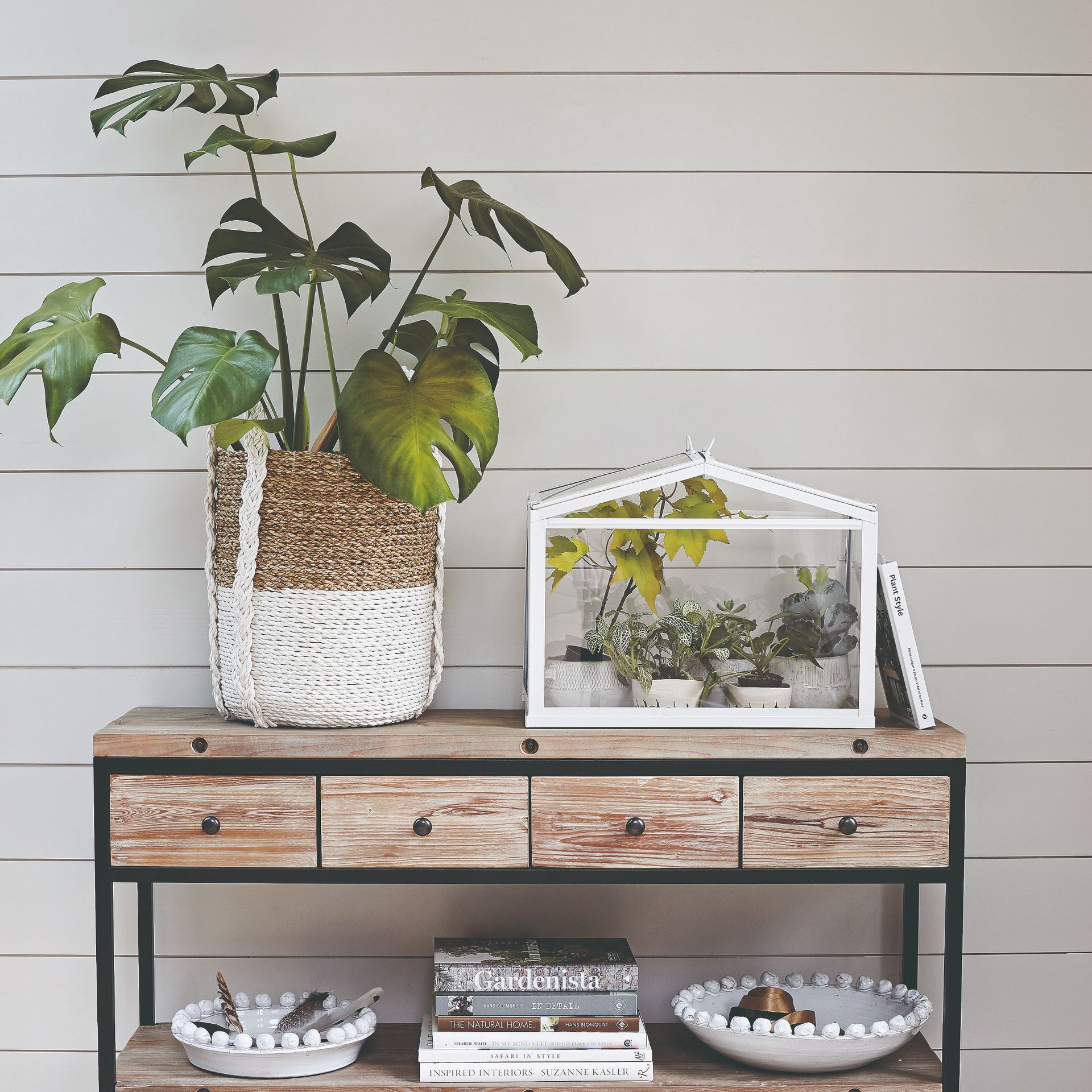 The one golden rule for keeping houseplants alive | Ideal Home