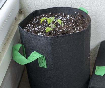 How to use grow bags to grow your fruit and vegetables | Homes and Gardens