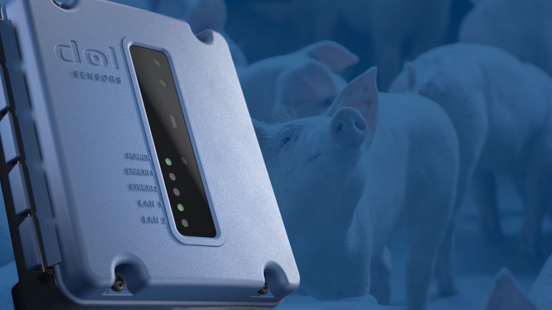This camera weighs pigs using 3D technology – so you know when to kill ...