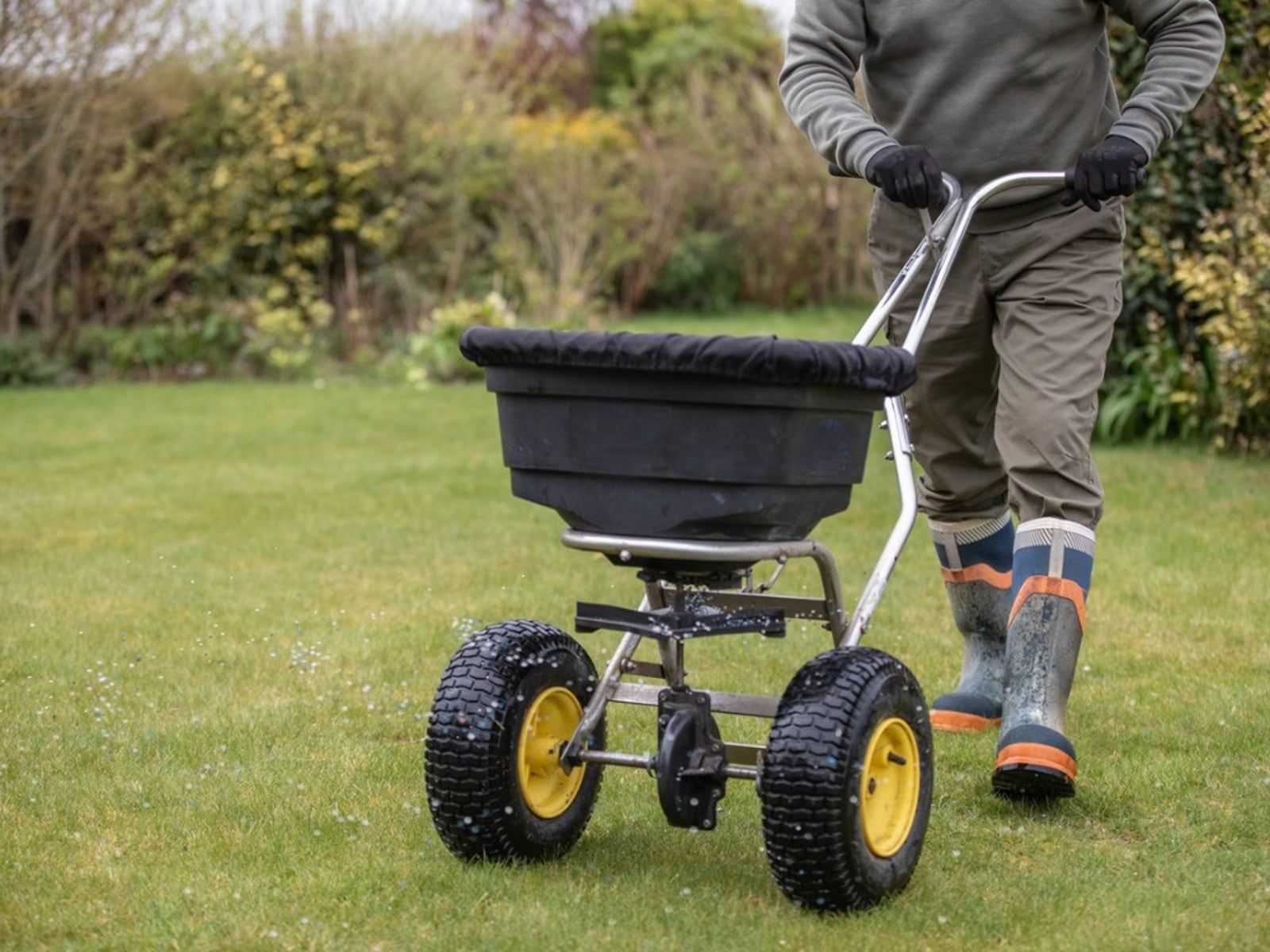 Everything You Need To Know About Fall Lawn Fertilizer | Gardening Know How