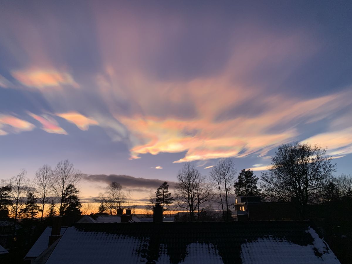 Spectacular 'rainbow clouds' light up northern skies in a rare ...