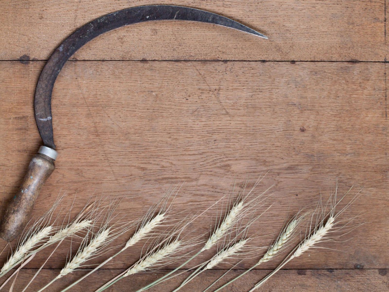 Old Farming Tools – Interesting Garden Tools From The Past | Gardening ...