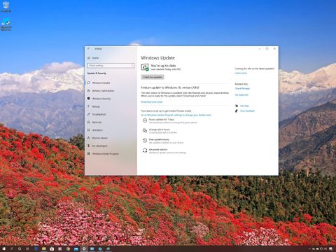 How to get the Windows 10 October 2020 Update on your PC as soon as ...
