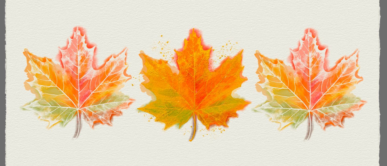 Rebelle 7 review: the most impressive painting software I've used ...