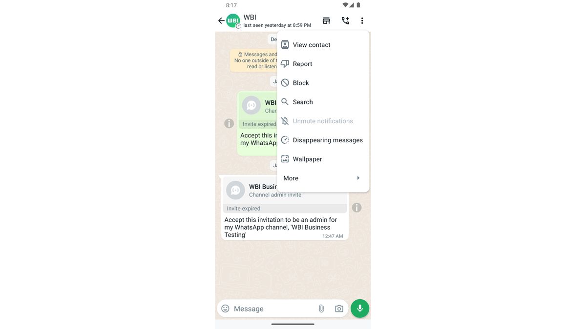 WhatsApp rolls out new icons for the overflow menu in the latest beta ...