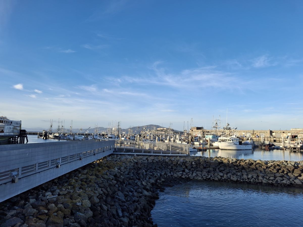 I shot 200 photos with the Google Pixel 8a vs Samsung Galaxy A35 — here ...